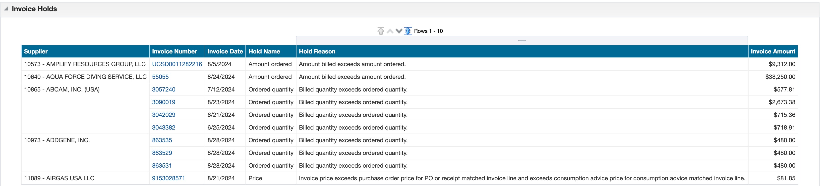Procure to Pay Panorama